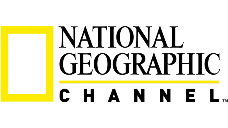 The National Geographic Logo: The History Behind The Brand