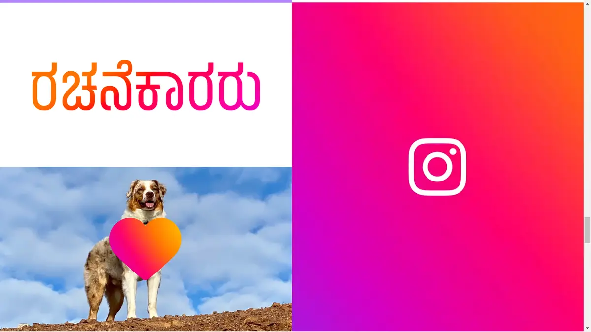 The Instagram Logo And Brand: The History And Evolution