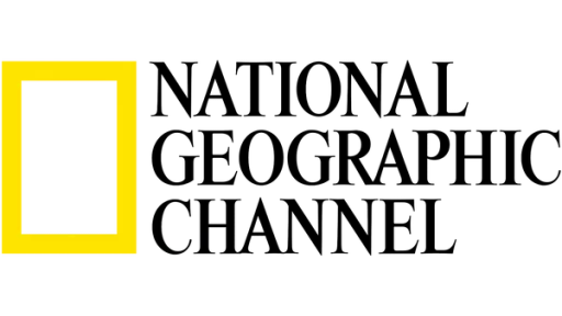 The National Geographic Logo: The History Behind The Brand