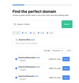 How to Choose a Domain Name And Reach Your Customers