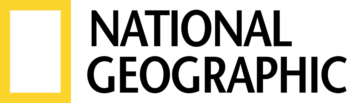 8 Logo Shapes To Get Your Brand In Good Shape (With Examples)