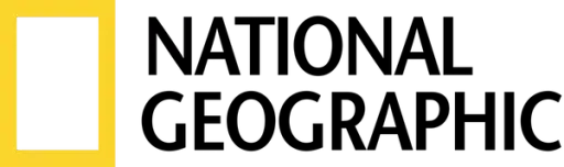 8 Logo Shapes To Get Your Brand In Good Shape (With Examples)