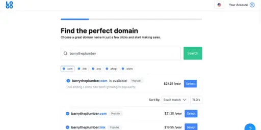 How to Buy the Right Domain Name for Your Business