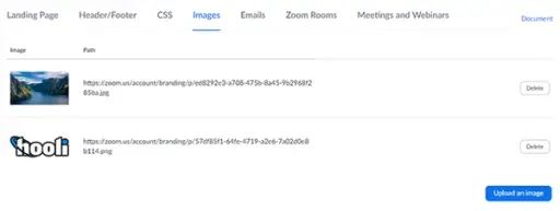 Zoom Branding: How To Make Your Brand Pop On Zoom