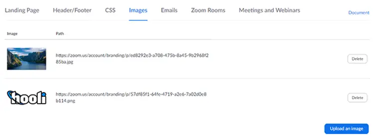 Zoom Branding: How To Make Your Brand Pop On Zoom