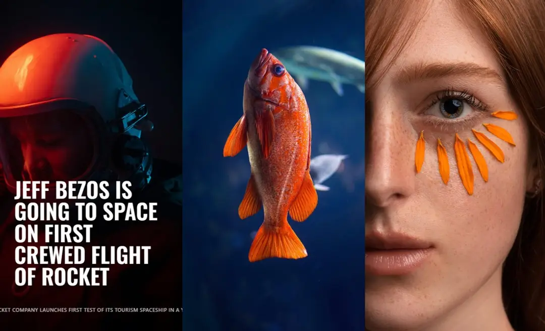 9 Brands That Offer One Page Site Vs Multi Page Site Builders