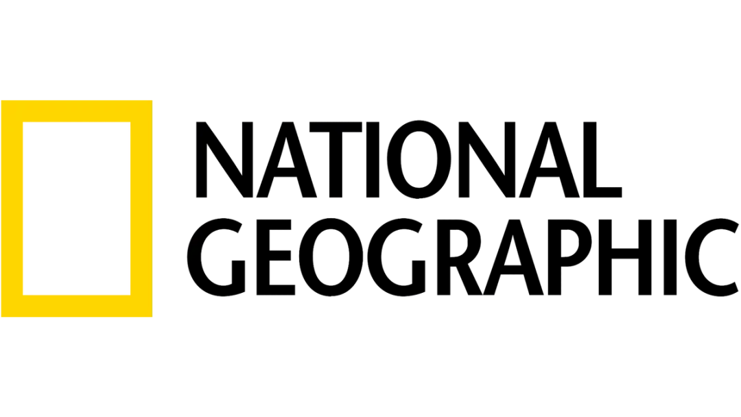 The National Geographic Logo: The History Behind The Brand