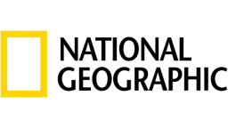 The National Geographic Logo: The History Behind The Brand