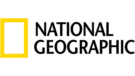 The National Geographic Logo: The History Behind The Brand
