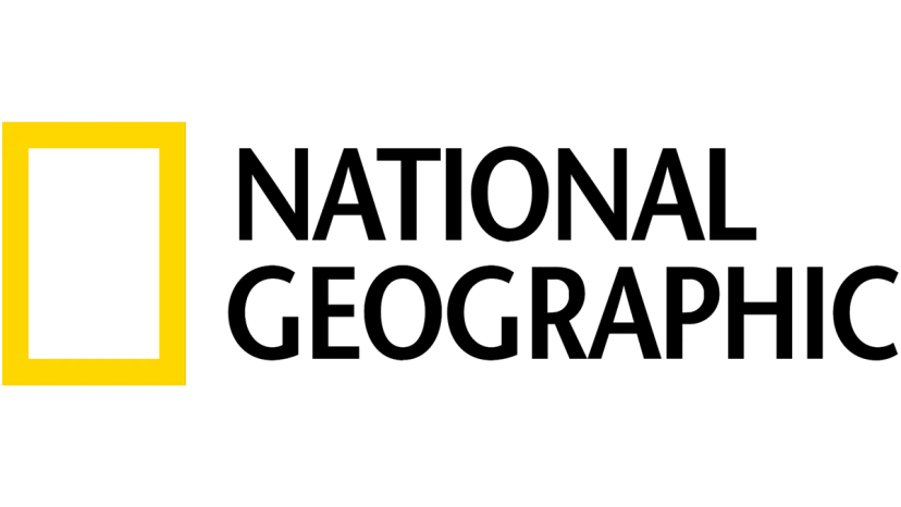 The National Geographic Logo: The History Behind The Brand