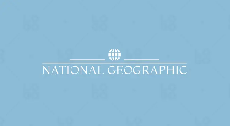 The National Geographic Logo: The History Behind The Brand
